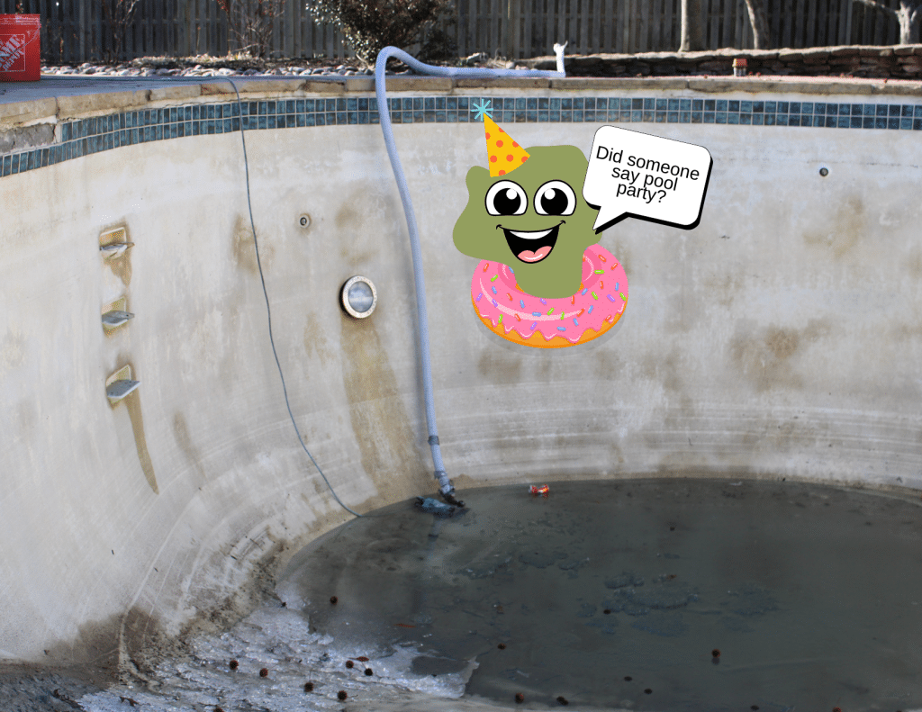 How to Identify and Get Rid of Pool Stains For Good - Mid-America Pool ...